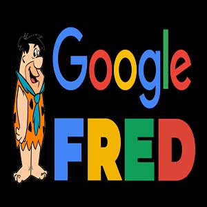 الگوریتم فرد گوگل (Google Fred Algorithm) - محمود دهقانپور